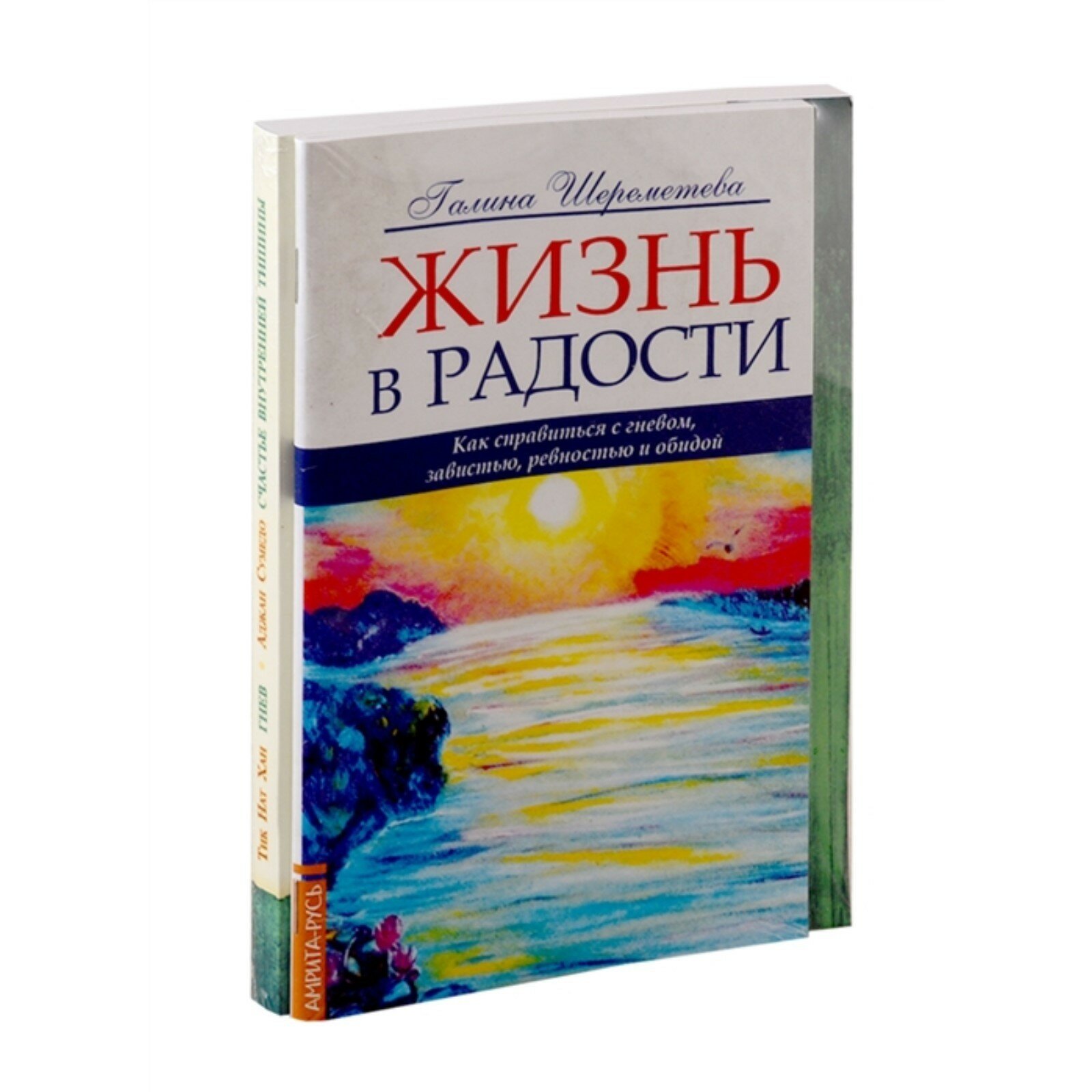 Как справиться с гневом: Жизнь в радость. Гнев. Счастье внутренней тишина (комплект из 2-х книг)