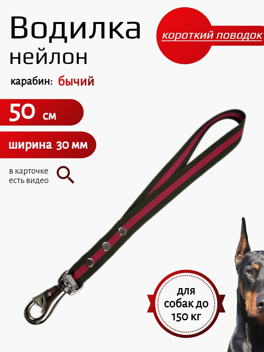 Мини-поводок Хвостатыч для собак с бычьим карабином нейлон 50 см х 30 мм (зелено-красный)