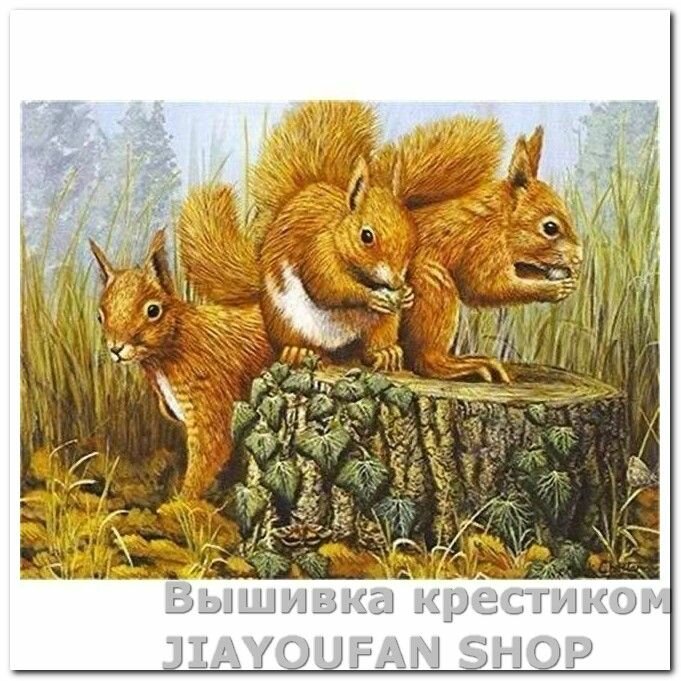 Набор для вышивания крестом 14CT, канва 50x60 см / готовая вышивка 40x50 см