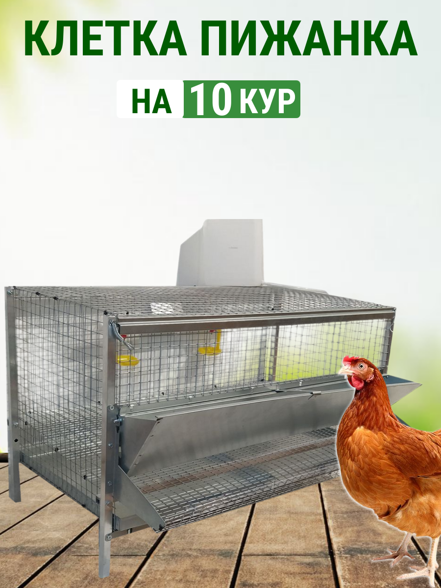 Клетка для кур до 10 голов Подворье Пижанка в полной комплектации