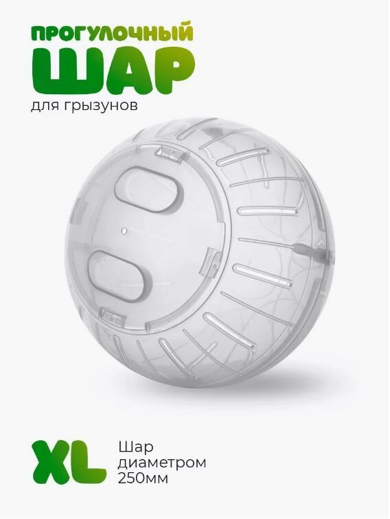 Прогулочный шар для хомяков 25cm