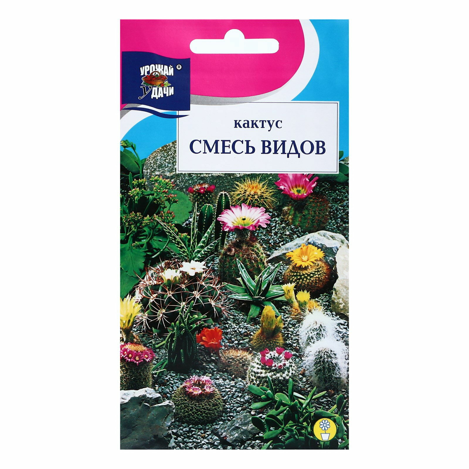 Семена цветов Кактус, Смесь видов, 0.05г, место выращивания: открытый грунт