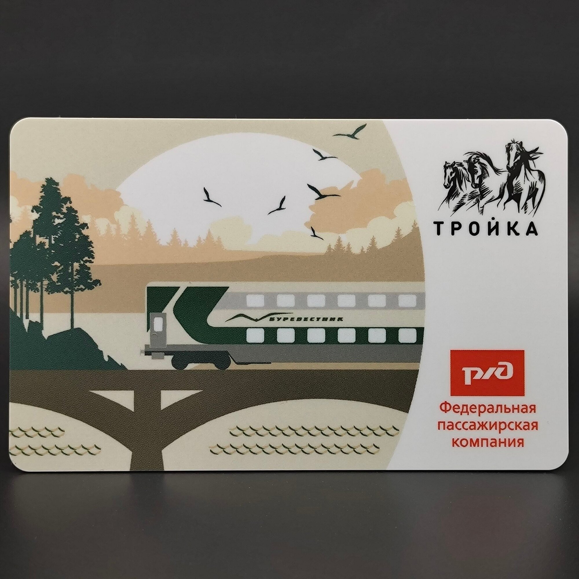 Коллекционная транспортная карта Тройка - Фирменный поезд "Буревестник". ФПК РЖД (дизайн 3)