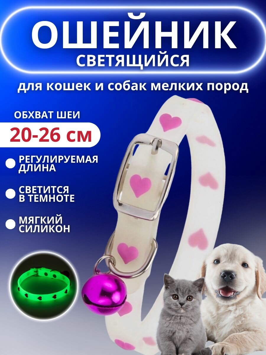 Ошейник, для кошек и мелких собак, светящийся, силикон, белый