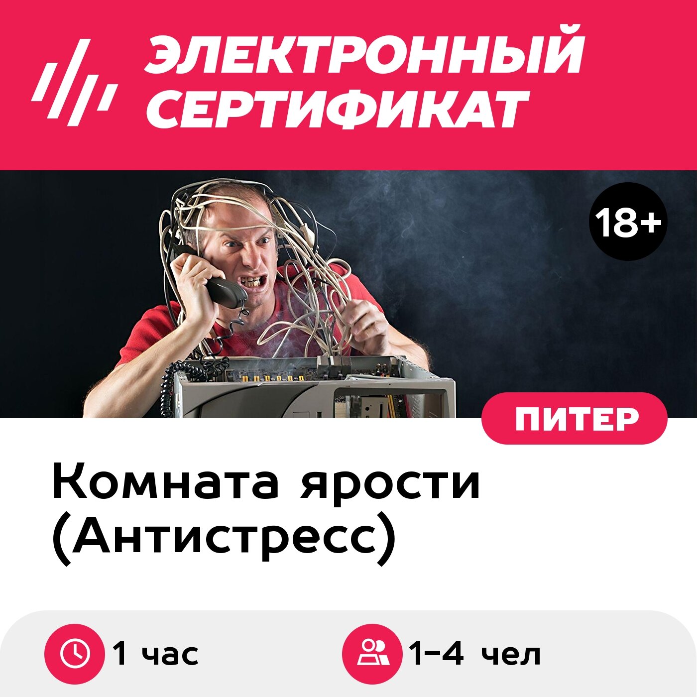 Подарочный сертификат Погром в комнате ярости Техник Pro для 1-4 чел. (1 час) (Ленинградская область)