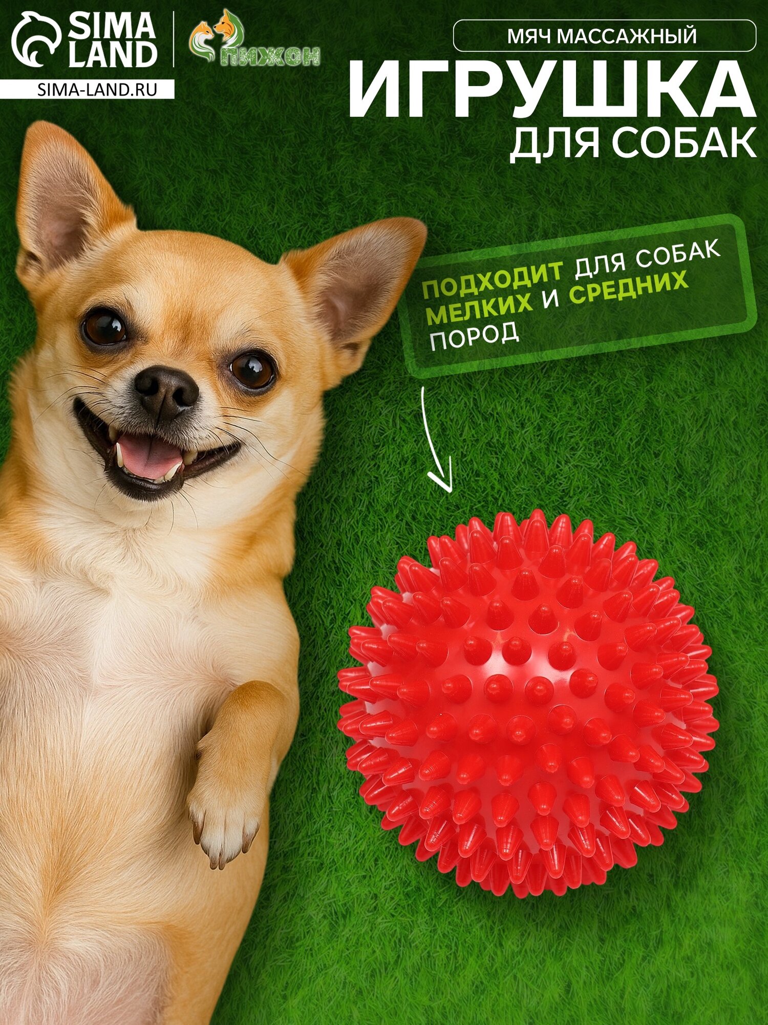 Игрушка для собак «Мяч массажный», 7.5 см, пластикат, цвет микс