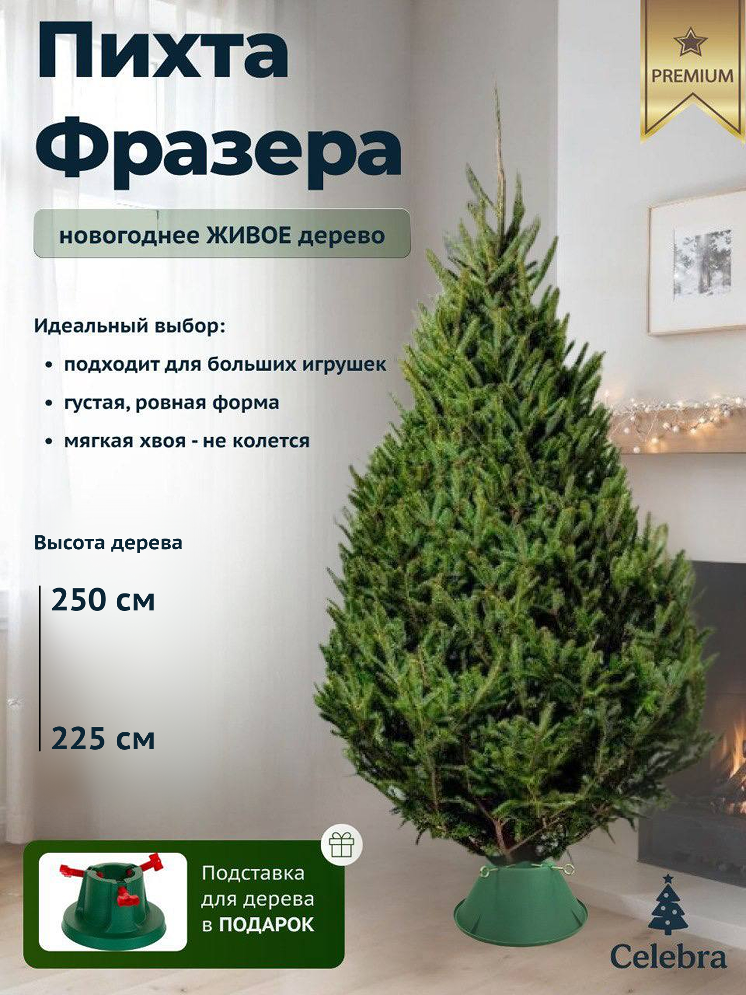 Ель Датская (Пихта Фразера) 225-250 см, живая, срезанная, ароматная (Сорт Excellent) ! Подставка В подарок!
