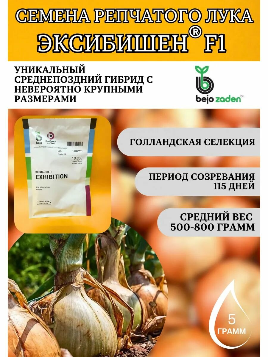 Семена лука репчатого Bejo Эксибишен, 5 грамм, сладкий, лежкий