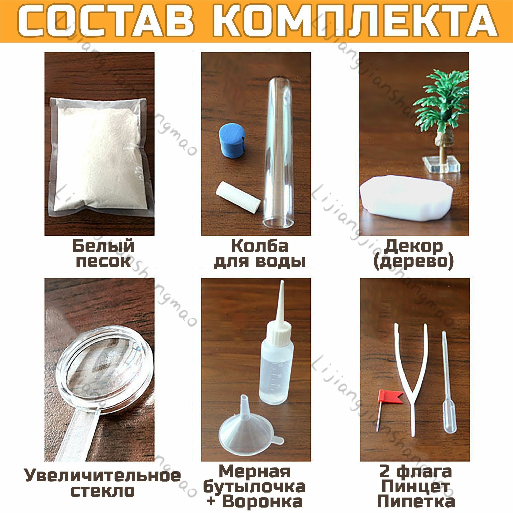 Муравьиная ферма — фото 1