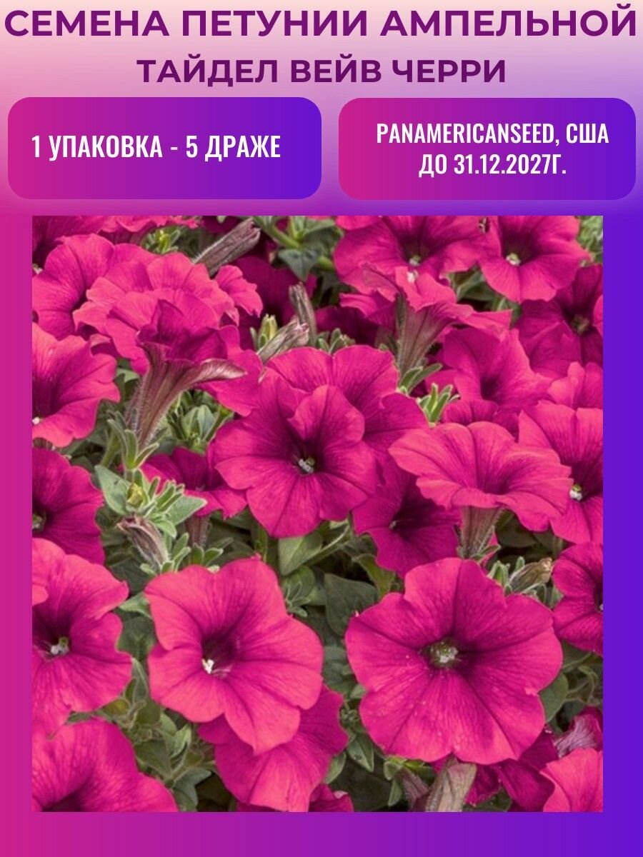 Петуния ампельная Тайдел Вейв Черри семена 1 упаковка (5 драже в пробирке) PanAmerican Seed, США
