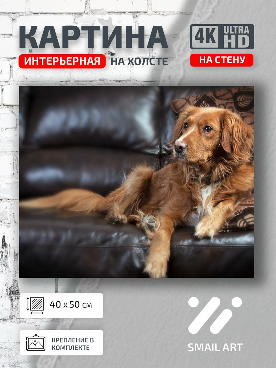 Картина на холсте интерьерная 40 на 50 на стену Собака Landscape для офиса пейзаж интерьер