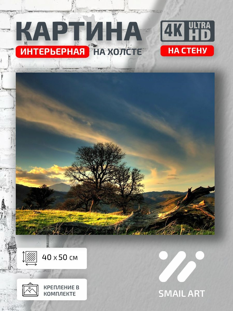 Картина на холсте интерьерная 40 на 50 на стену Небо Landscape для кабинета пейзаж интерьер