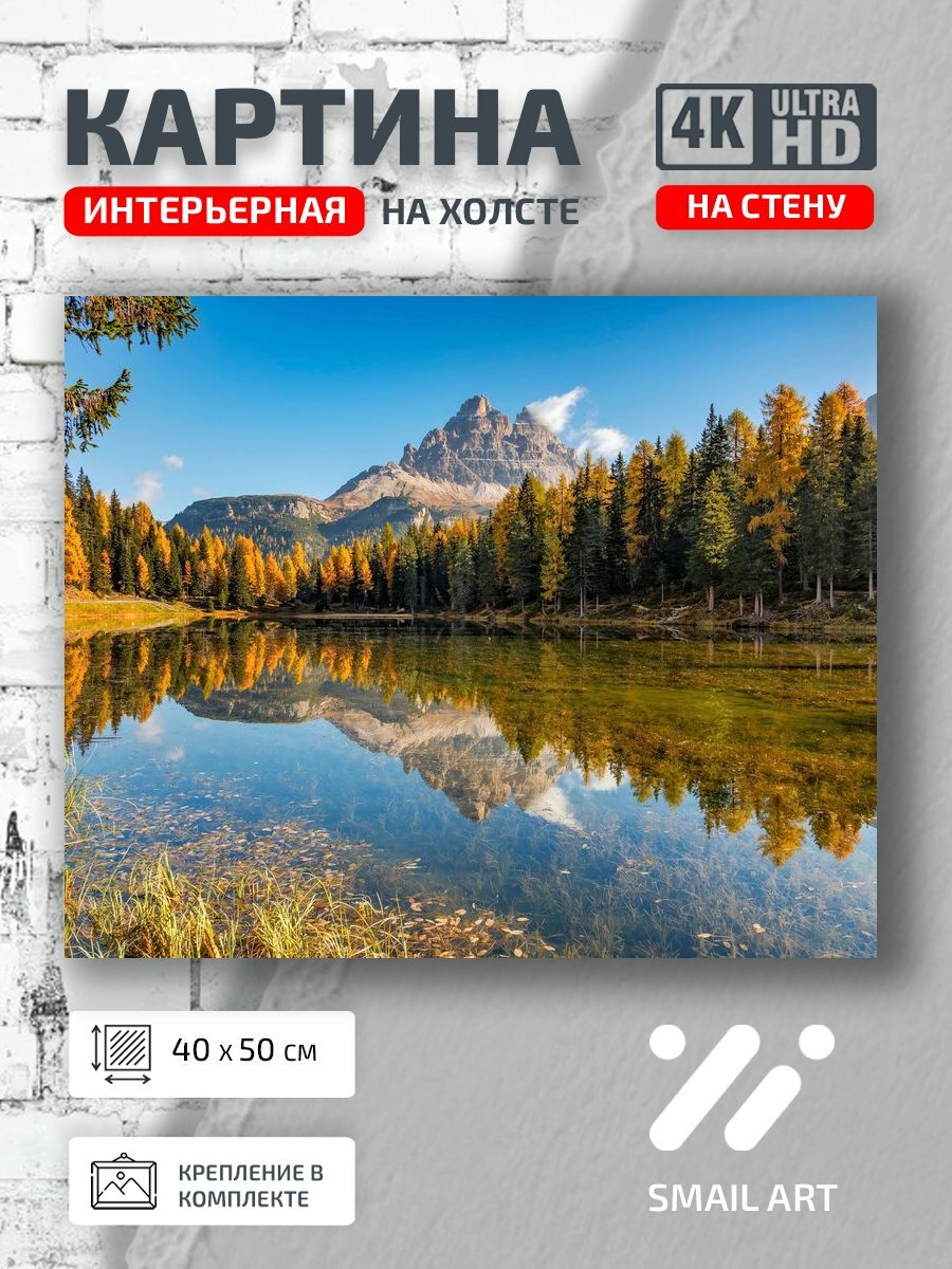Картина на холсте интерьерная 40 на 50 на стену Деревья Landscape для гостиной пейзаж декор