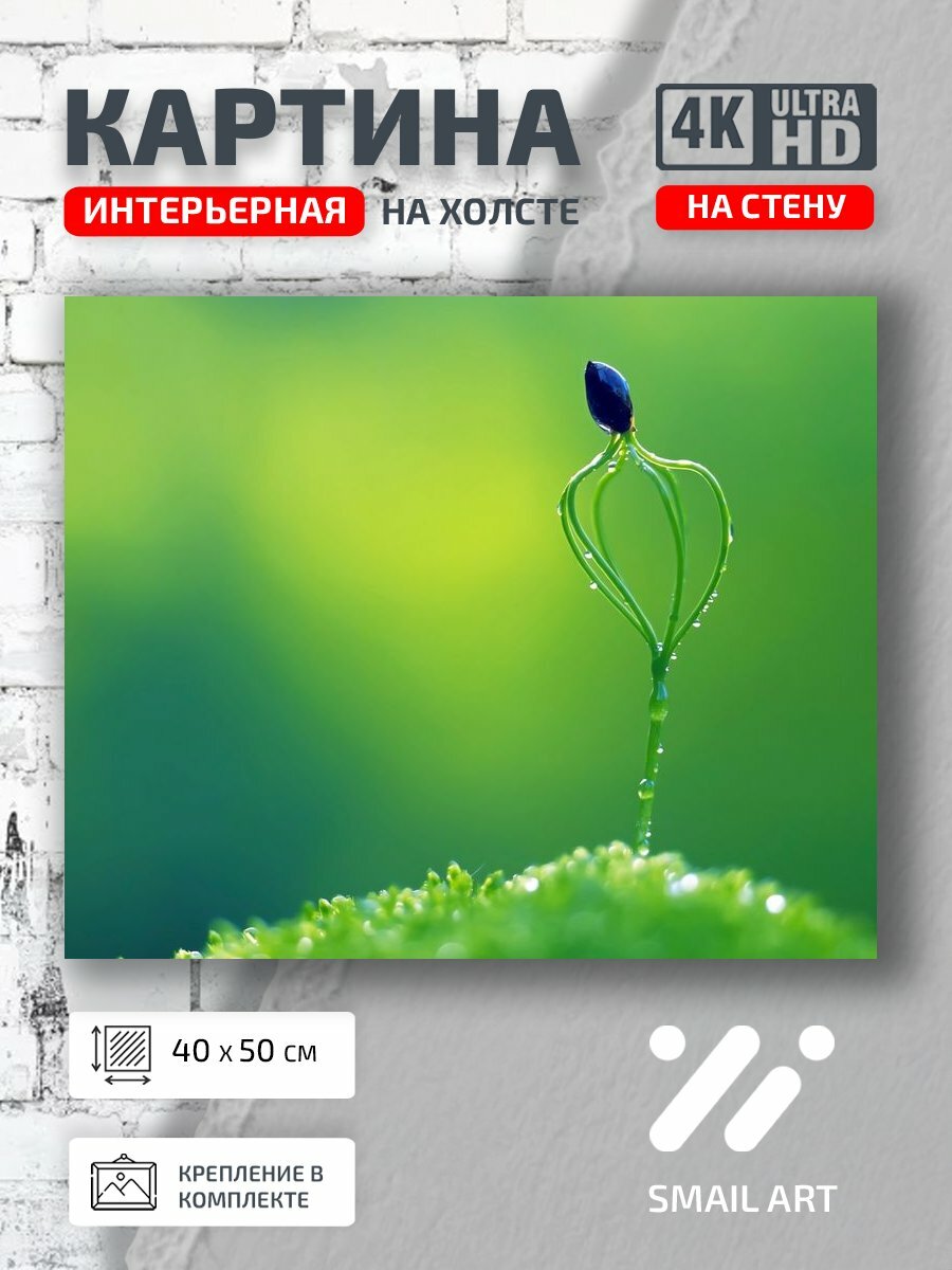Картина на холсте интерьерная 40 на 50 на стену Цветокзеленыймакро Macro для студии декор