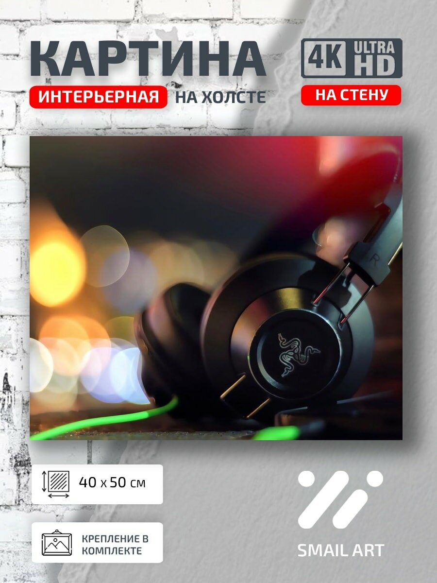 Картина на холсте интерьерная 40 на 50 на стену Green Razer для студии атмосфера