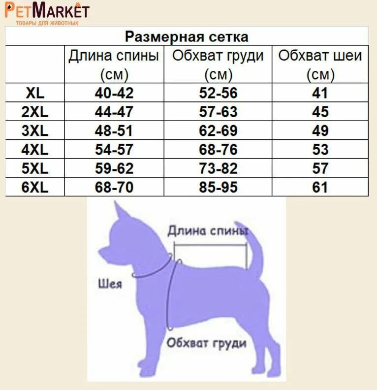 Одежда для животных — фото 1