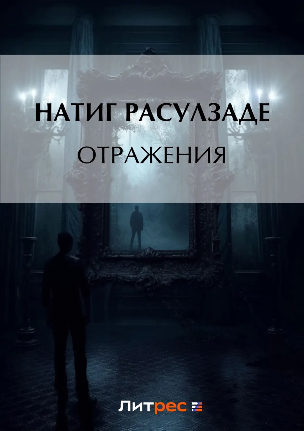 Отражения [Цифровая книга]
