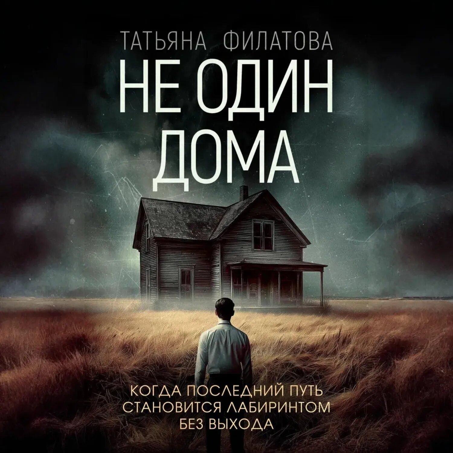Не один дома [Аудиокнига]