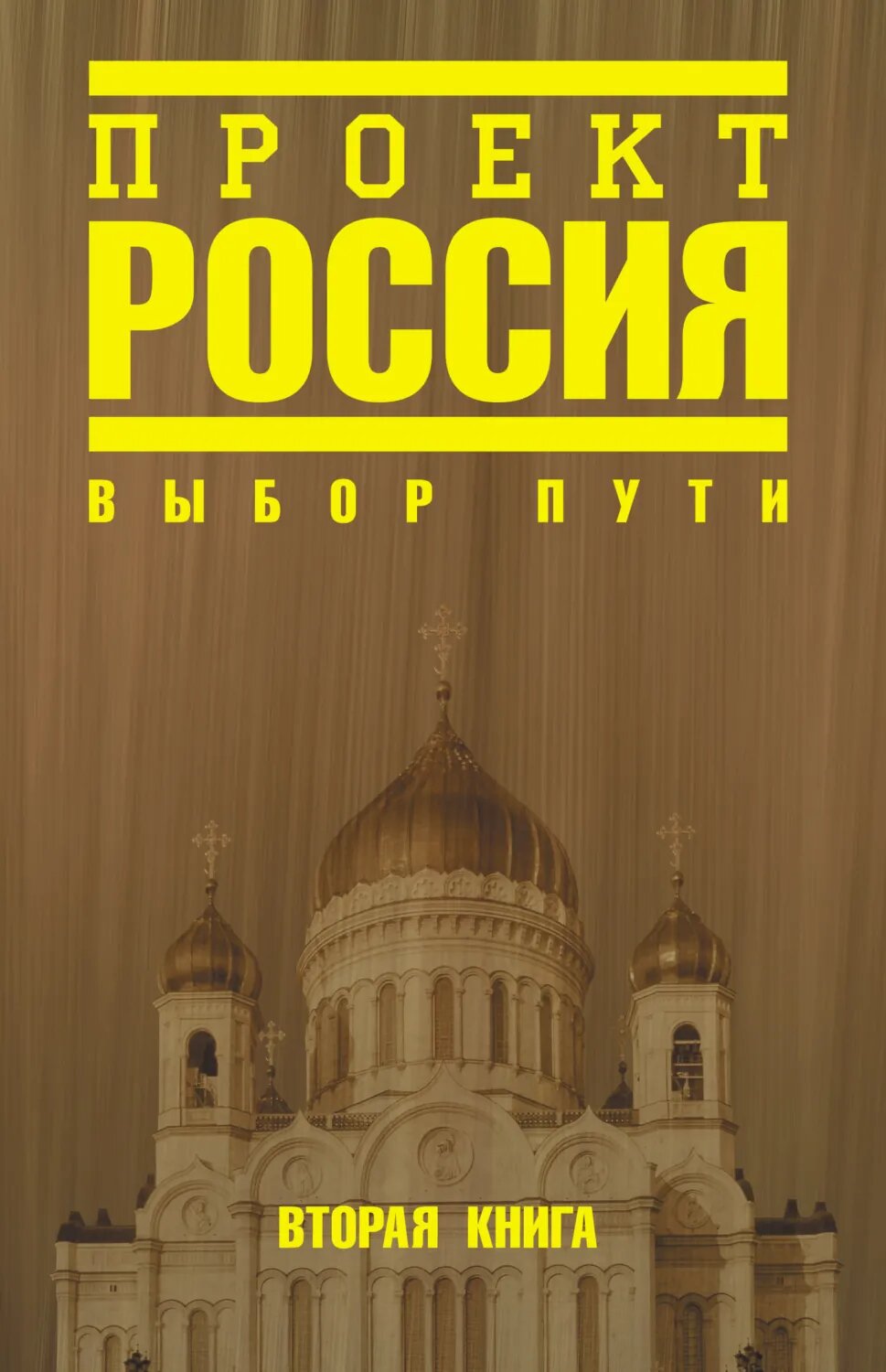 Проект Россия. Выбор пути [Цифровая книга]