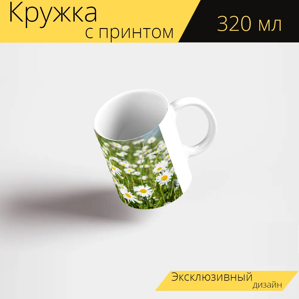 Кружка с рисунком, принтом "Ромашки, луговые ромашки, луговые цветы" 320 мл.