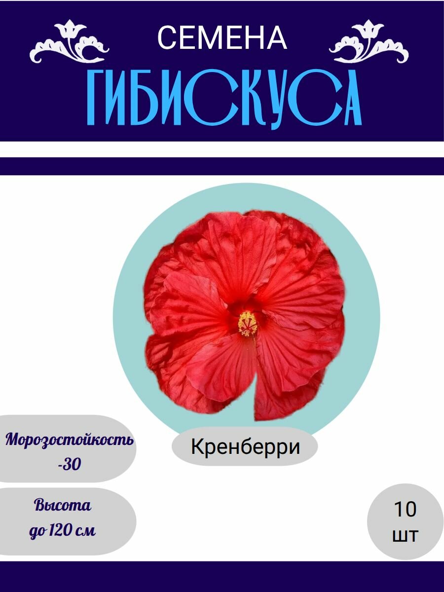 Гибискус травянистый семена 10 штук