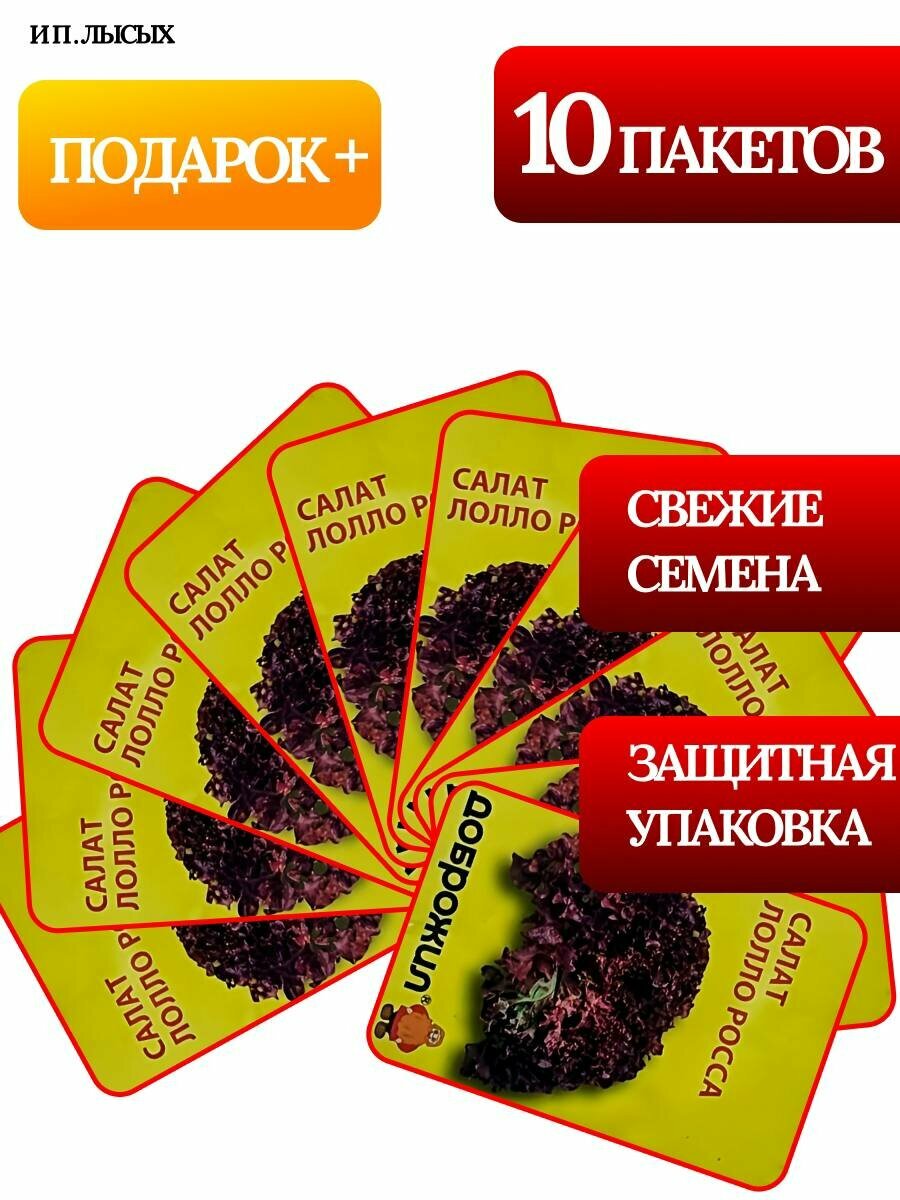 Семена Салат "Лолла Росса"