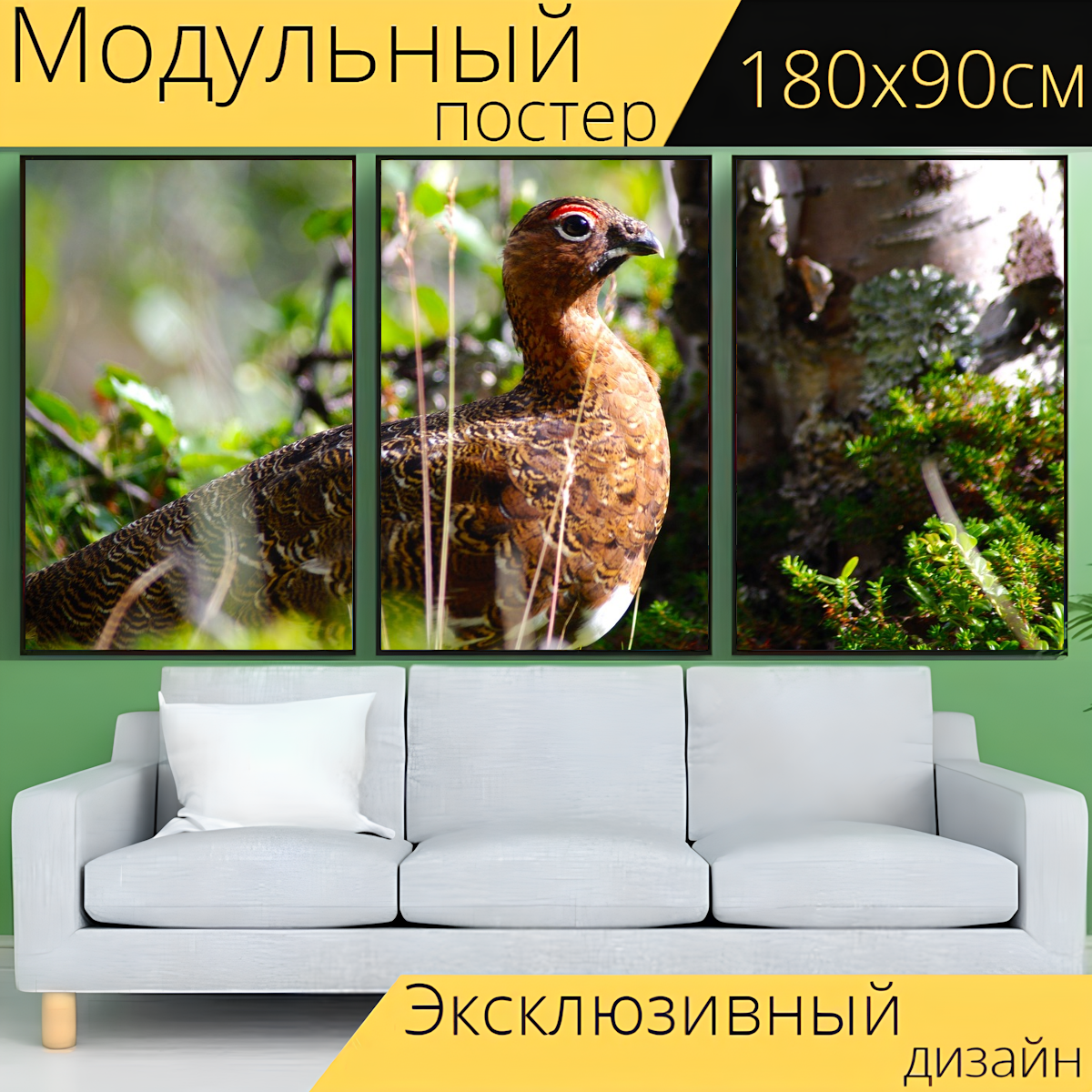 Модульный постер "Куропатка, летом, летние пружины" 180 x 90 см. для интерьера на стену в тубусе