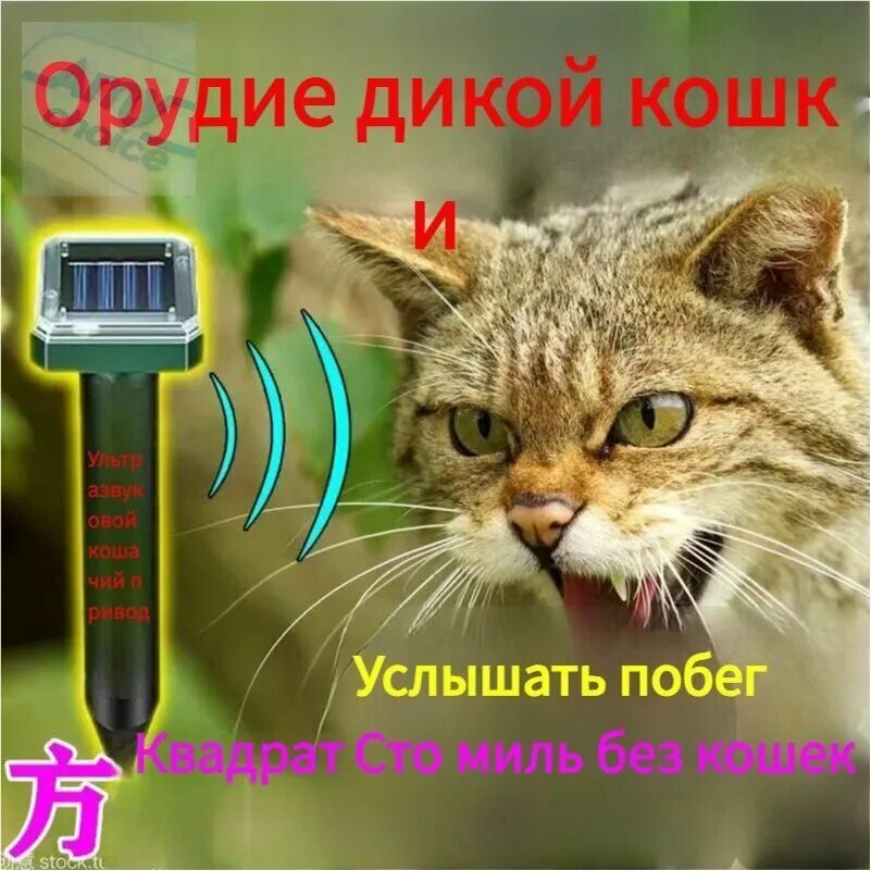 Ультразвуковой отпугиватель кошек, Антикошка для дома и сада, Отпугиватель животных