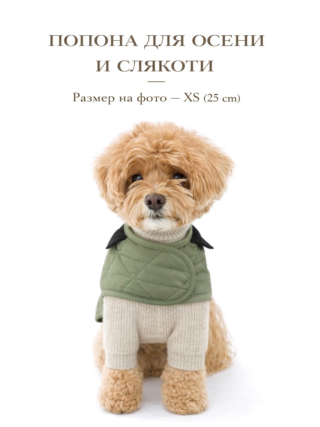 Попона/куртка стеганая, одежда для собак, размер XS, зеленый