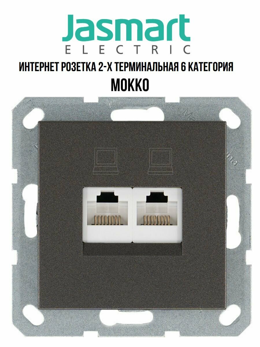 Интернет розетка 2х терминальная 6 категория