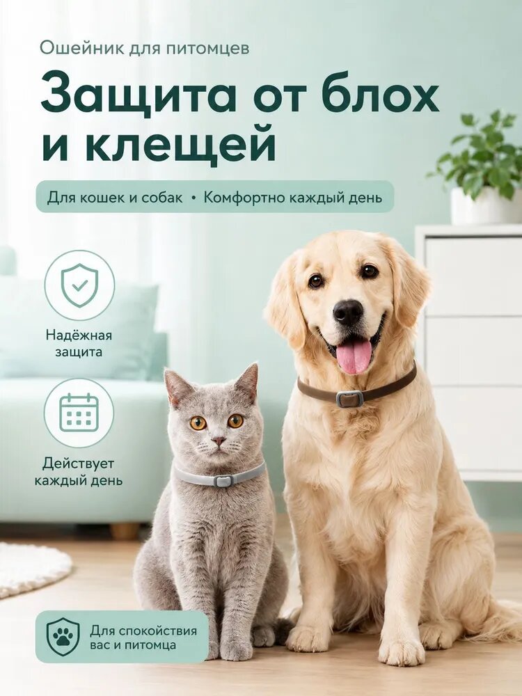 Съёмный воротник