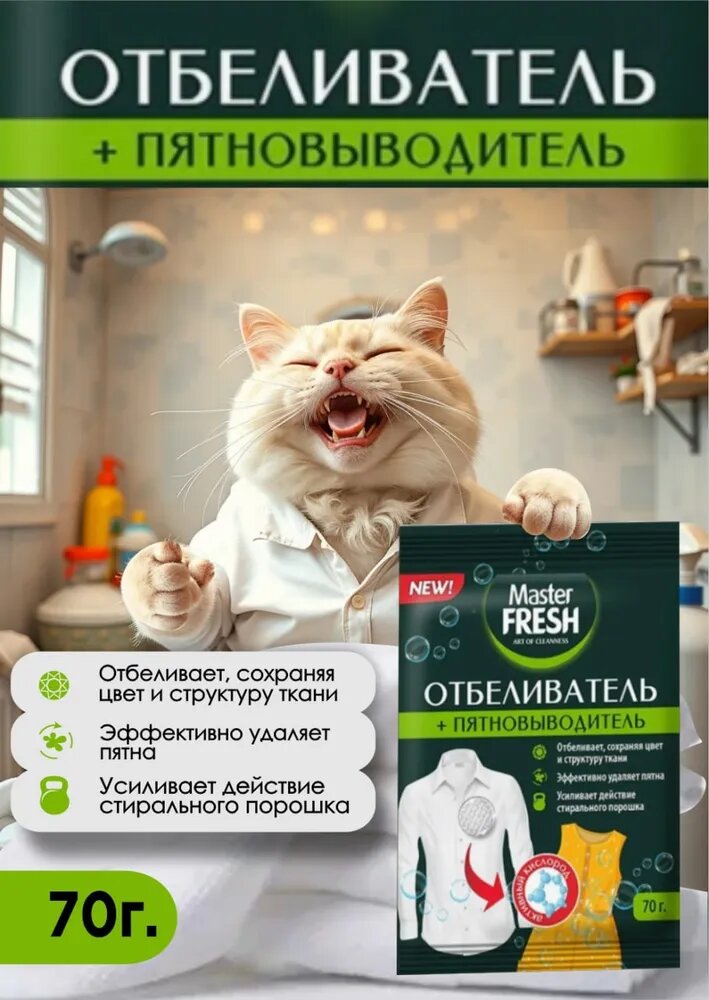 Master FRESH Отбеливатель пятновыводитель кислородный
