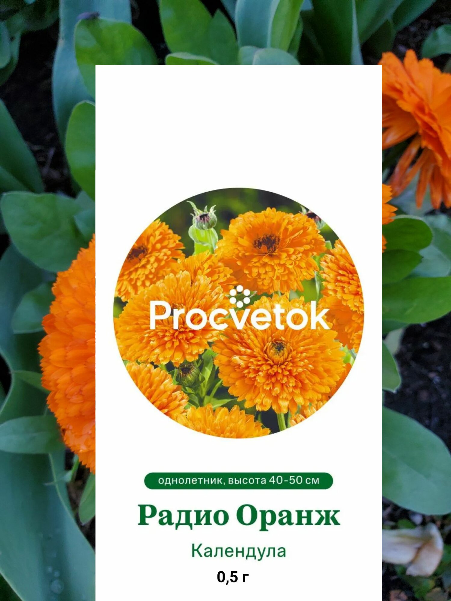 Семена Календула Радио Оранж 0,5г, Процветок