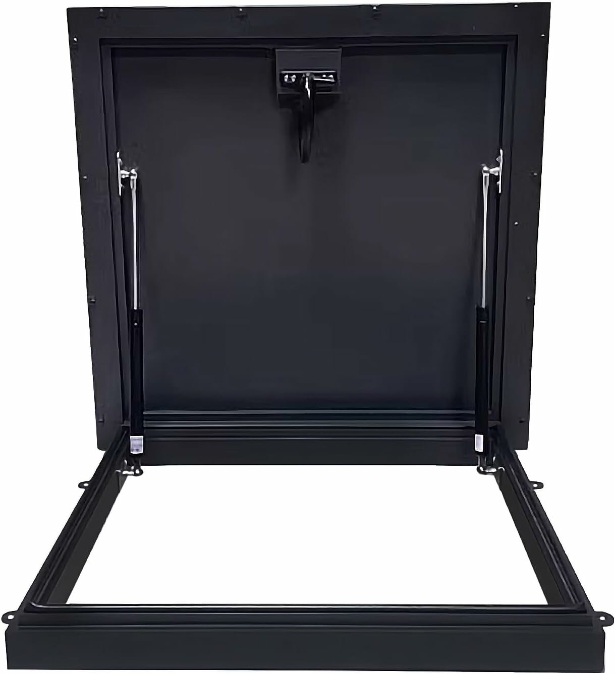 Ревизионный люк