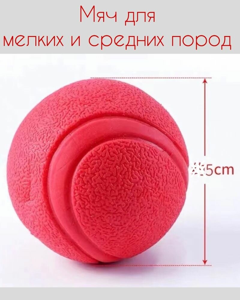 Мяч для собак суперпрочный литой для активных игр 5 см диаметр — фото 1