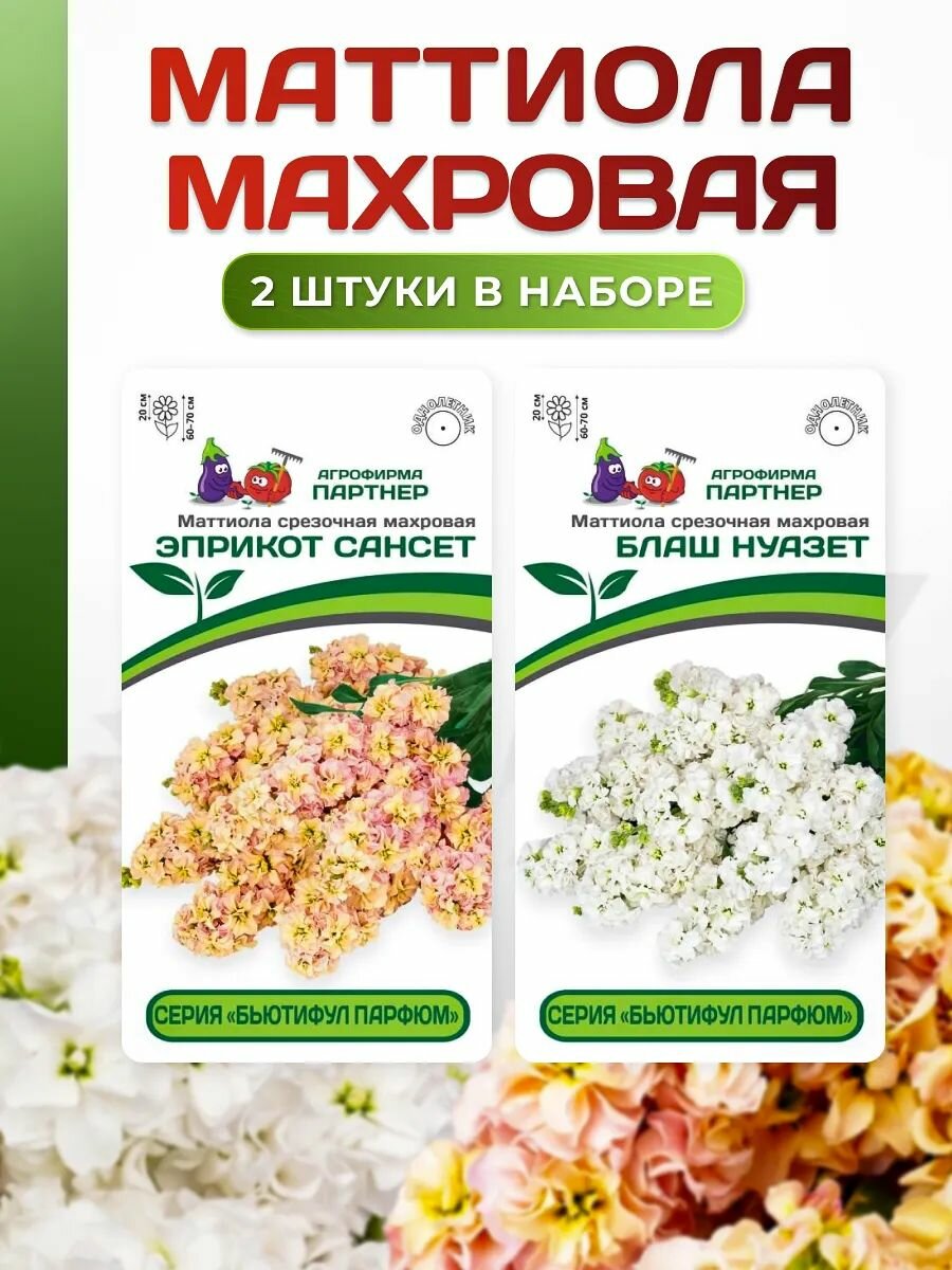 Семена набор агрофирмы партнер "Маттиола", махровая, 2 упаковки