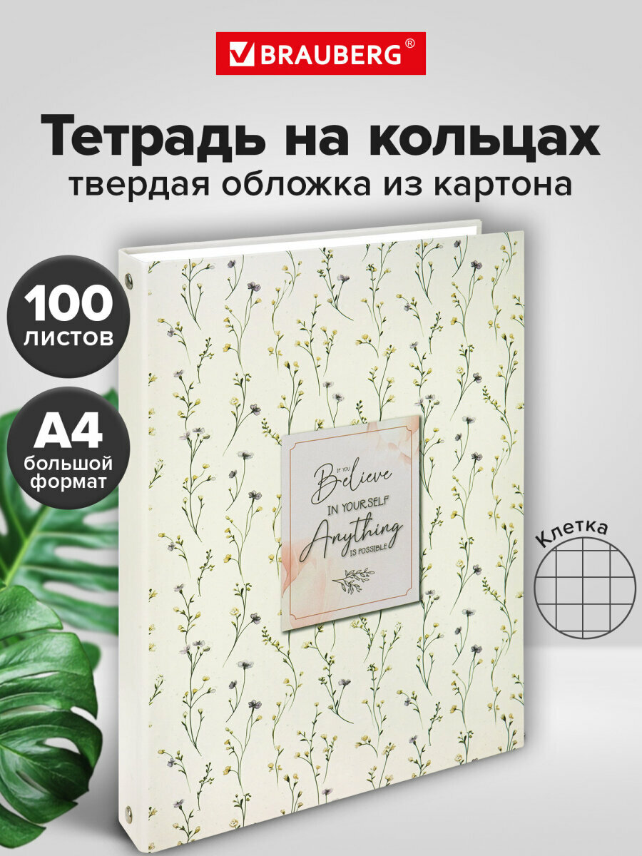 Тетрадь на кольцах А4 в клетку со сменным блоком общая 215х305 мм, 100 листов, для школы и офиса, обложка твердый картон, Brauberg, 405412