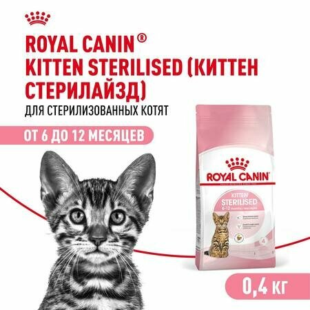 ROYAL CANIN KITTEN STERILISED 2 шт по 400 г корм сухой, сбалансированный для стерилизованных котят до 12 месяцев