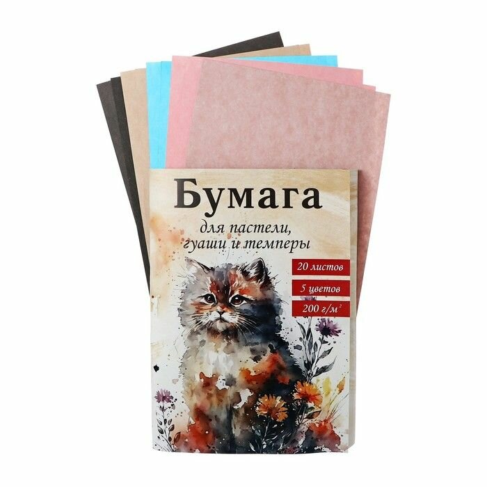 Бумага для рисования Licht Для акварели, пастели, гуаши, темперы, А4, 20 листов, блок 200 г/м2, 5 цветов, в папке