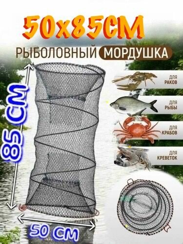 Набор для летней рыбалки