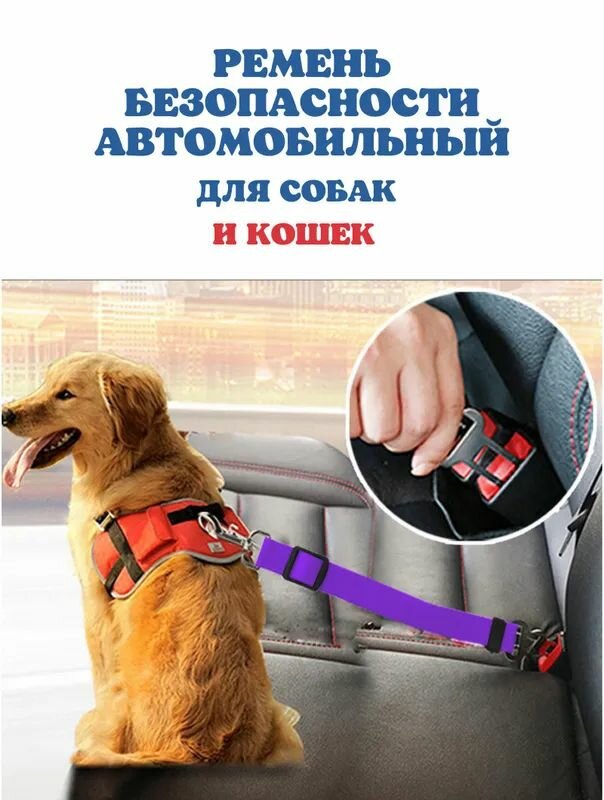 Ремень безопасности в машину для собак, кошек / поводок для животных в салон автомобиля / шлейка