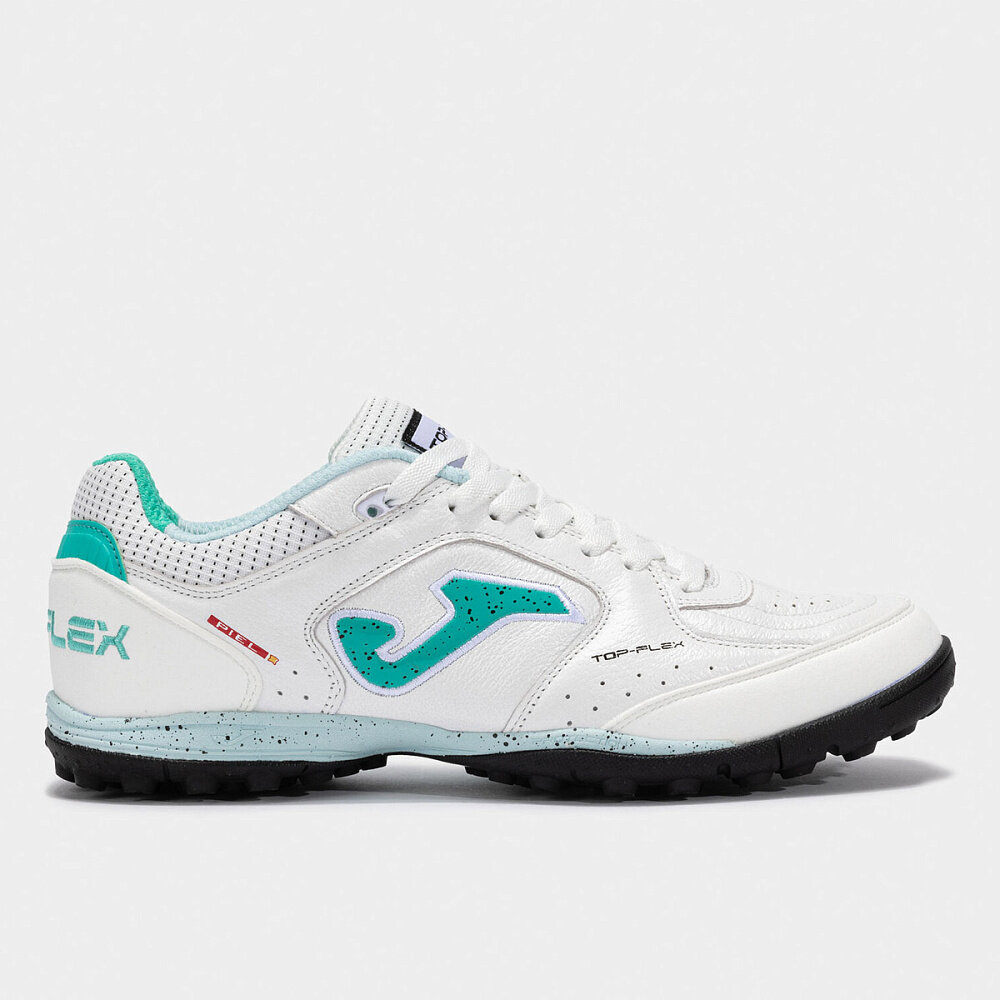 Сороконожки