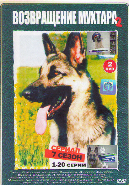 Возвращение Мухтара 2 7 Сезон (96 серий) (4DVD)* на DVD