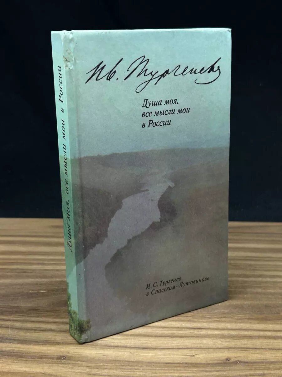 Книга. Душа моя, все мысли мои в России 1989 (2038774850963)