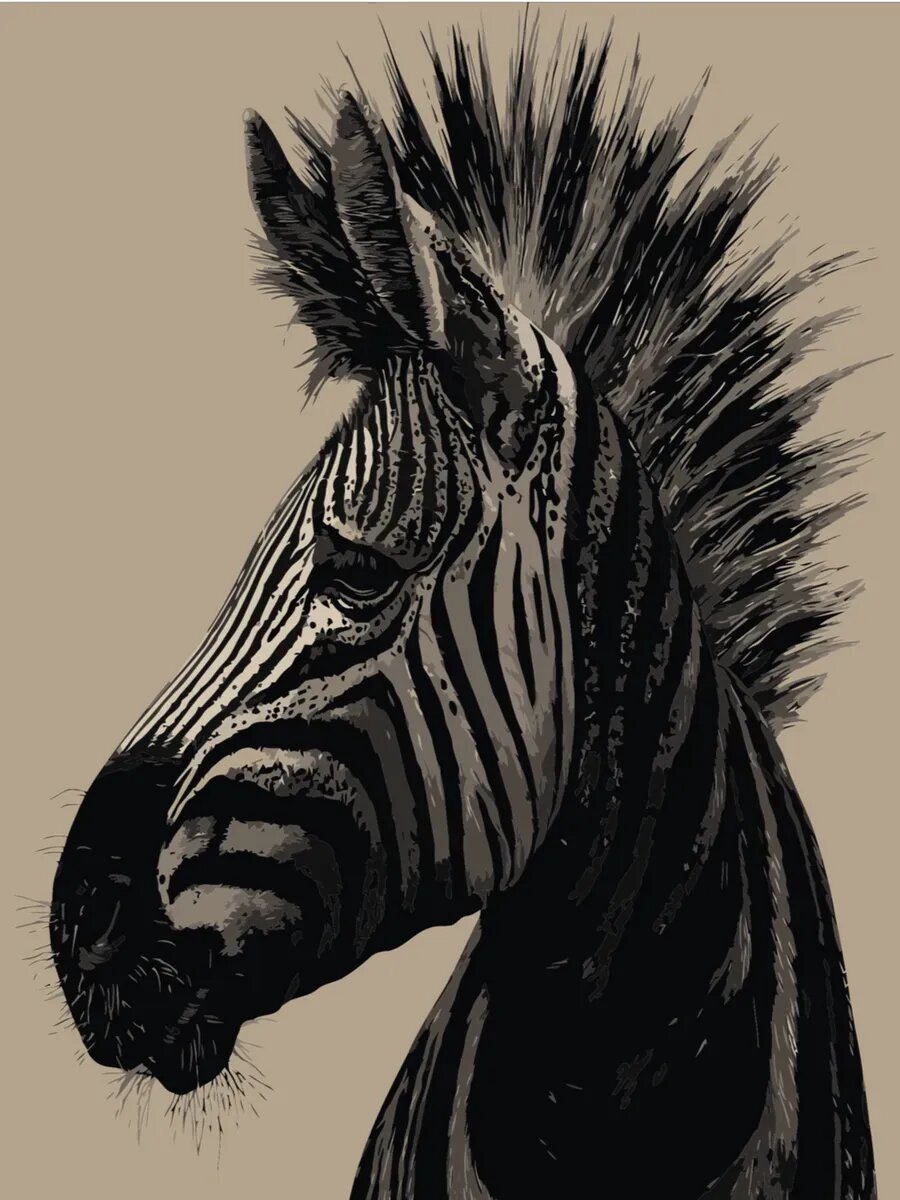 Картина по номерам зебра