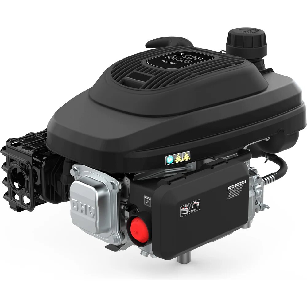 Evoline Двигатель бензиновый XP 200 A (D 22,2 мм, L 80 мм) (произведено Zongshen) 1T90QC200EVO