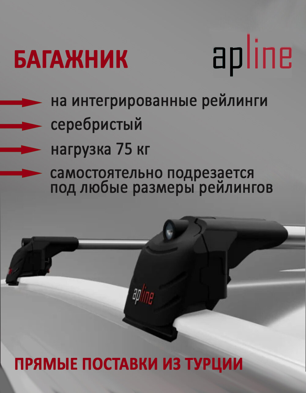 Багажник Apline Ace 2 для Haval F7 II 2024- на интегрированные рейлинги, cеребристый