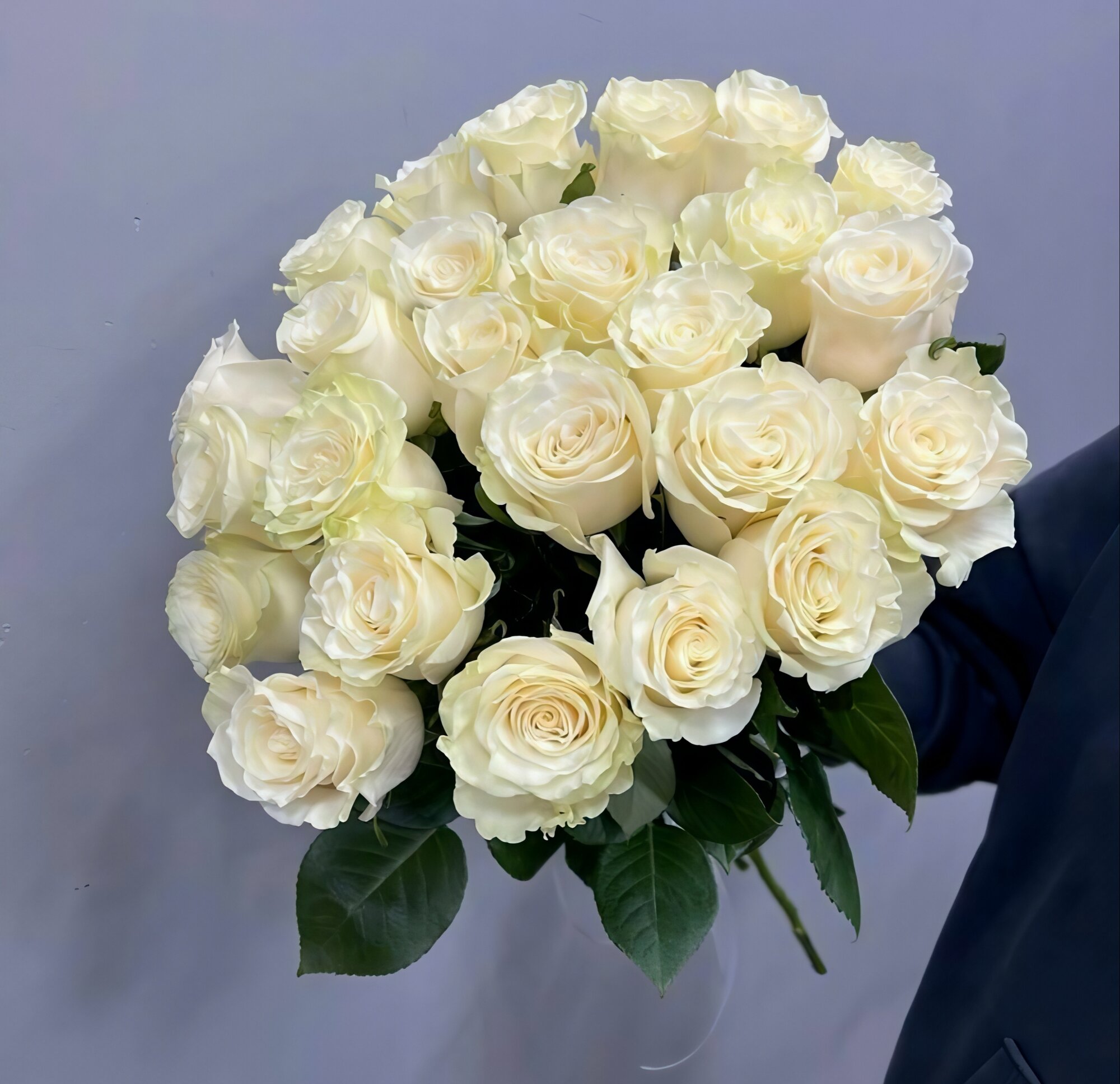 Букет из белых роз 25 шт, красивый букет цветов, шикарный, премиум цветы, премиум букет