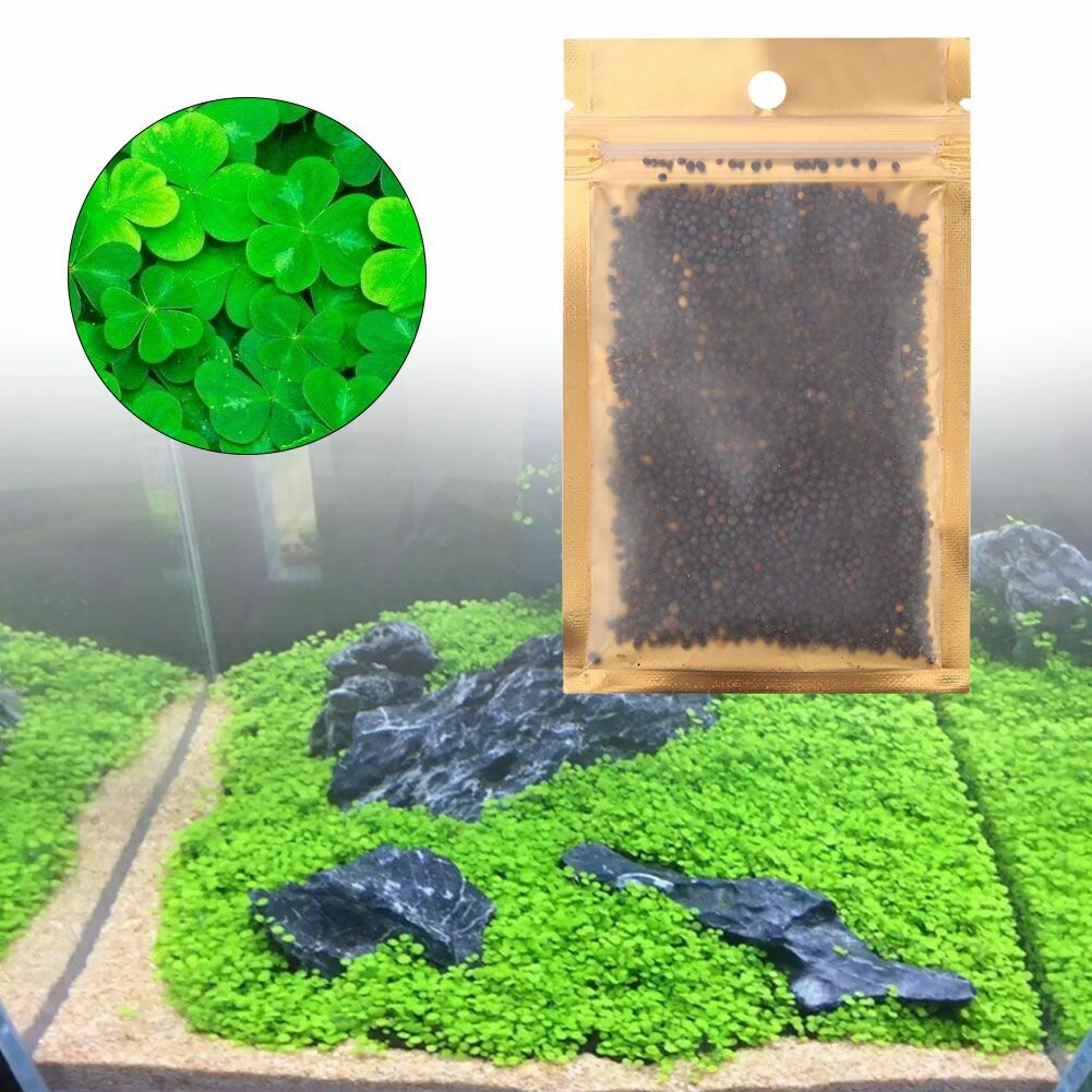 Семена аквариумных растений для декора (10г) - быстрорастущая трава для натурального ландшафта в аквариуме