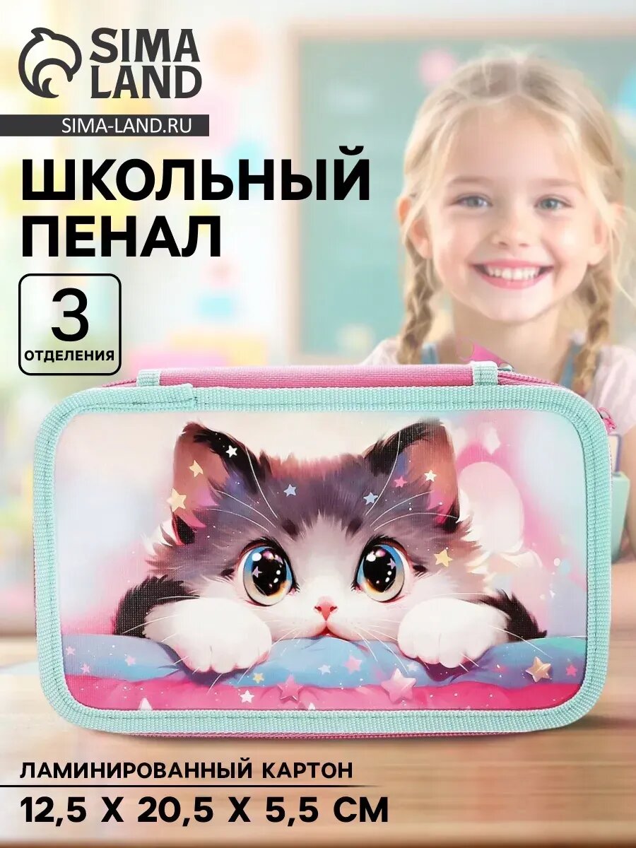 Пенал школьный, 3 секции, 12.5×20.5×5.5 см «Кот Корея»